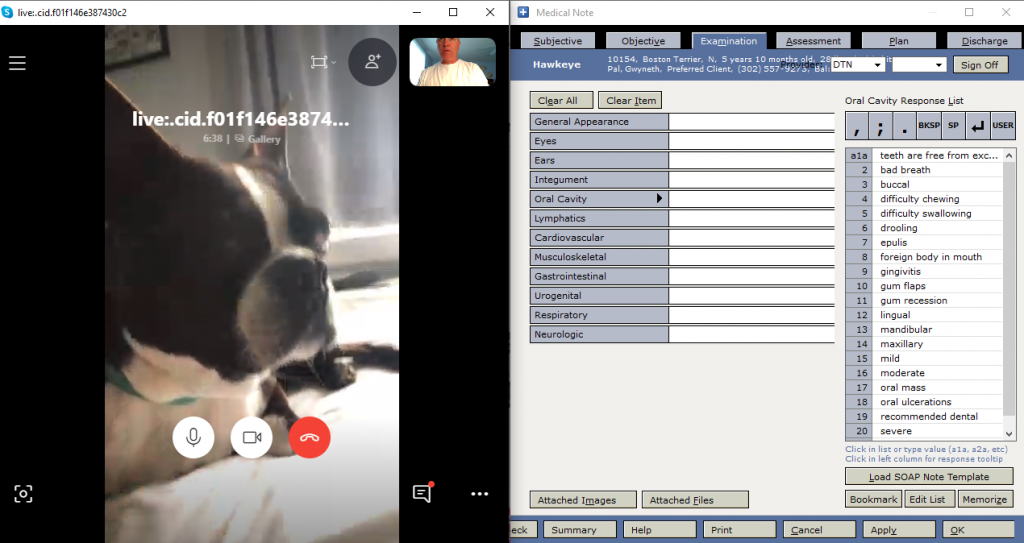 Guidance – VIA Veterinary Information Systems